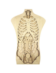 Puzzle Le corps humain - Puzzle Stuka Puka | Le corps humain ...