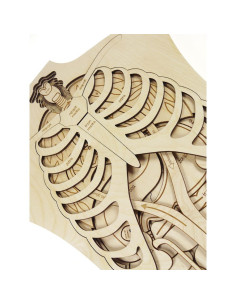 Puzzle Le corps humain - Puzzle Stuka Puka | Le corps humain ...